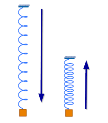 Praxis Middle School Science (5442) Practice Test & Study Guide | 2023 ...