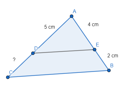 Praxis Middle School Mathematics (5169) Practice Test & Study Guide ...
